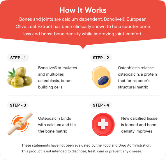 Osteo Plus - Advanced Support for Bone and Joint Health - InnerThera